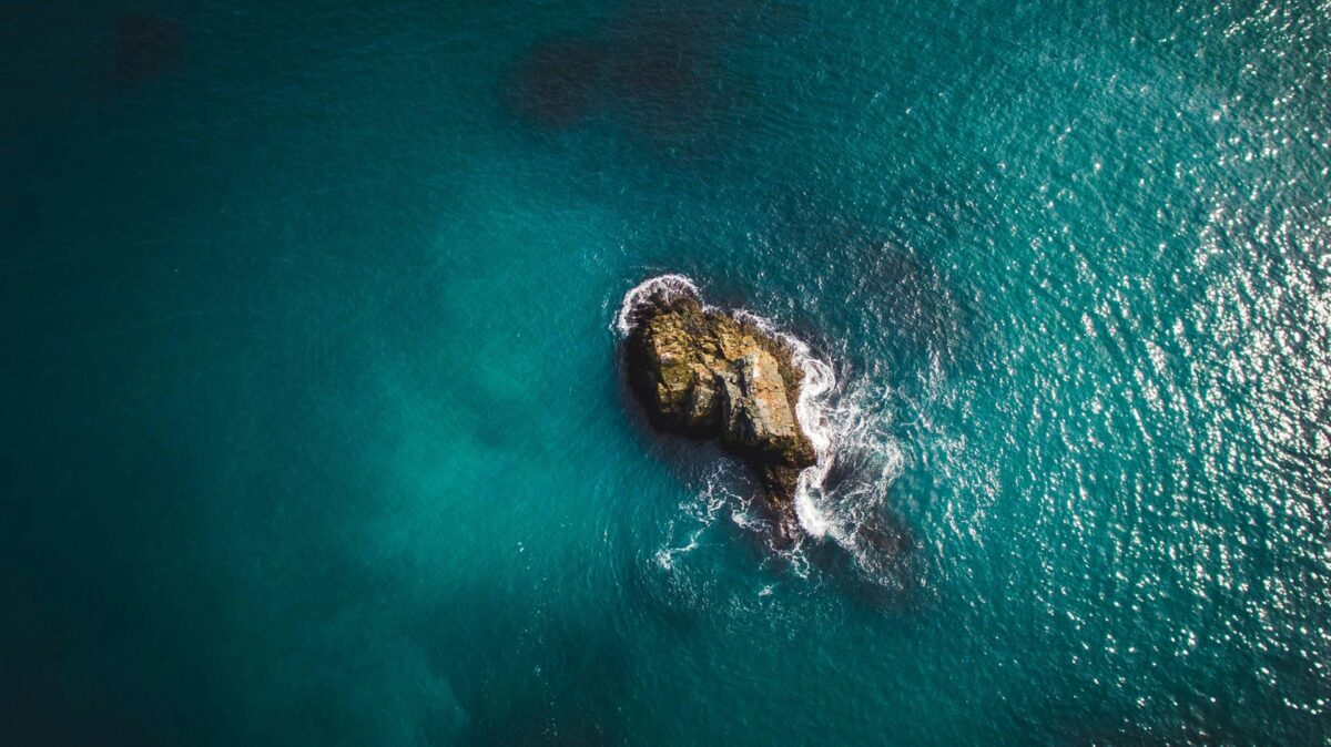 Contact - Travis Parsons